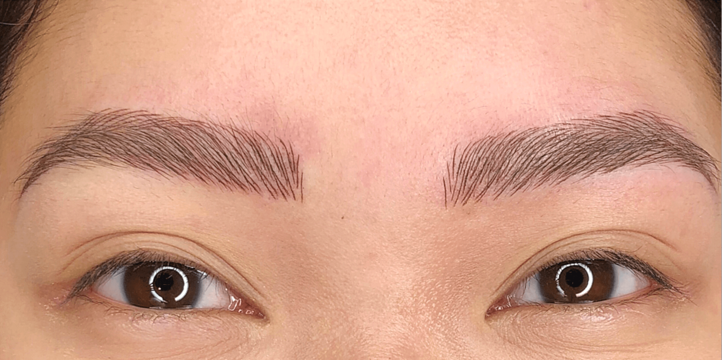 XoBrows – Professionally trained PhiBrows artist Leila Skanda